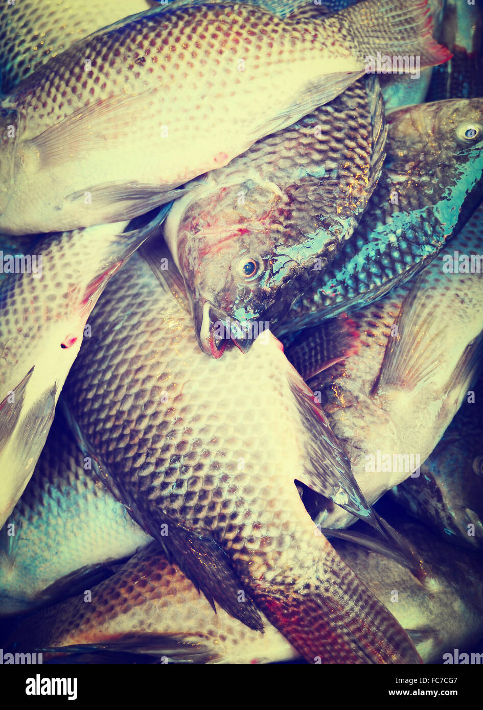 Fish ma hi-res stock photography and images - Alamy
