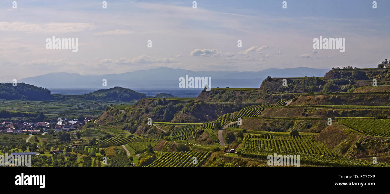 Vogtsburg Oberbergen im Kaiserstuhl Stock Photo - Alamy