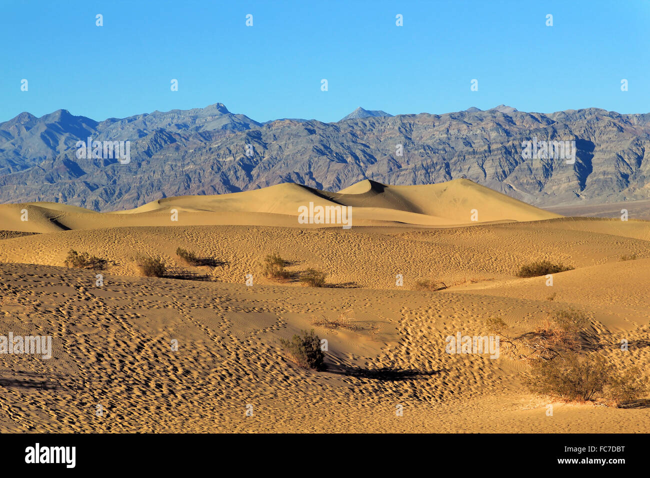 Death valley sand dunes vertical hi-res stock photography and images ...