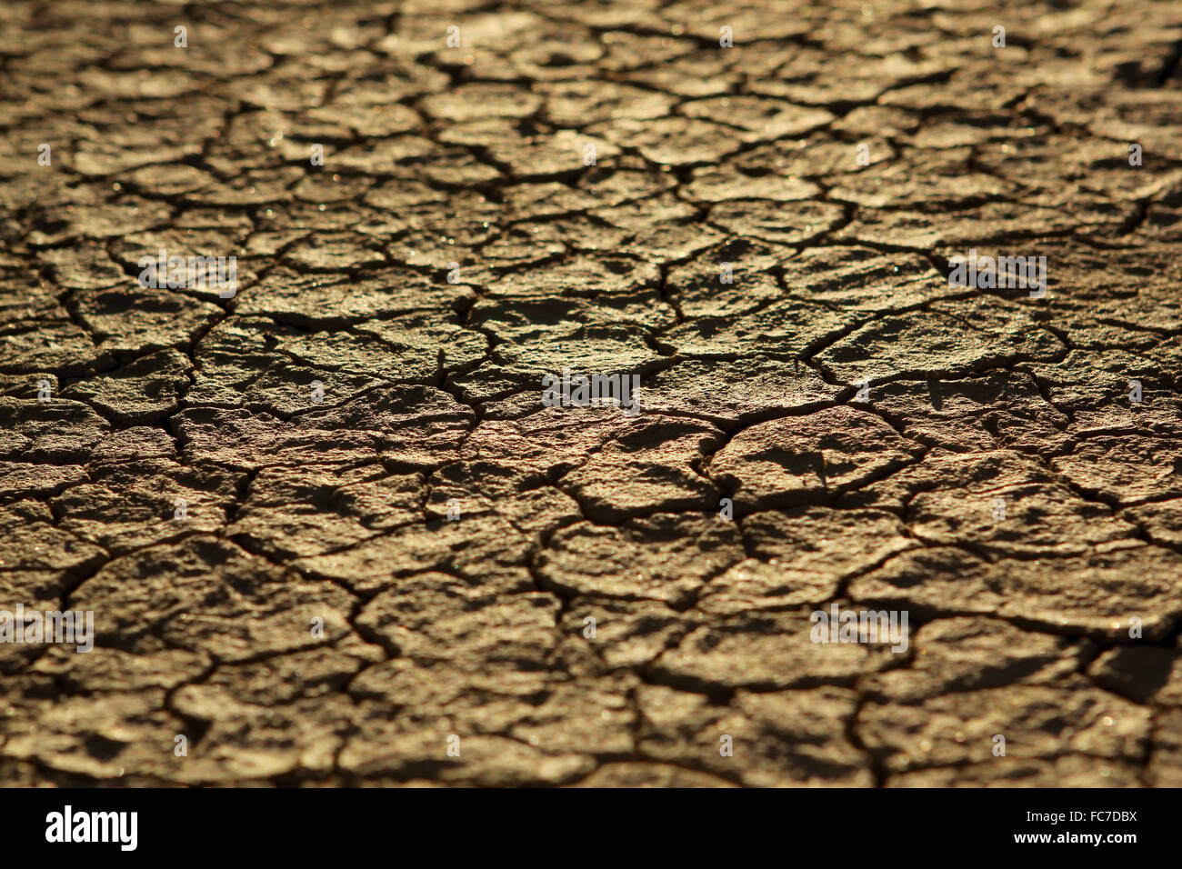 Sunset over dry land Stock Photo - Alamy
