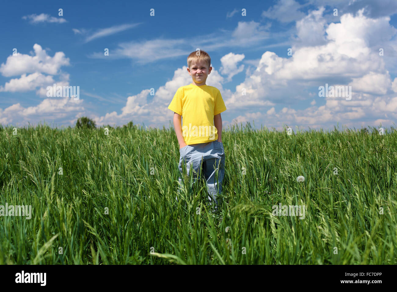 little boy outdoors in sunny summer day Stock Photo - Alamy