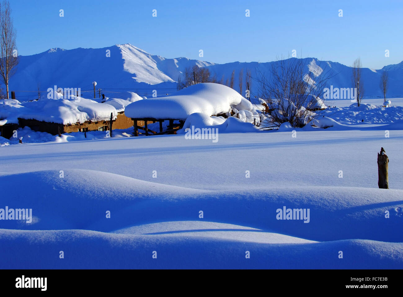 Xinjiang Aletai snow scenery Stock Photo - Alamy