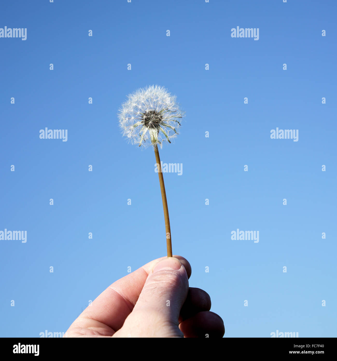 Hand held shield hi-res stock photography and images - Alamy