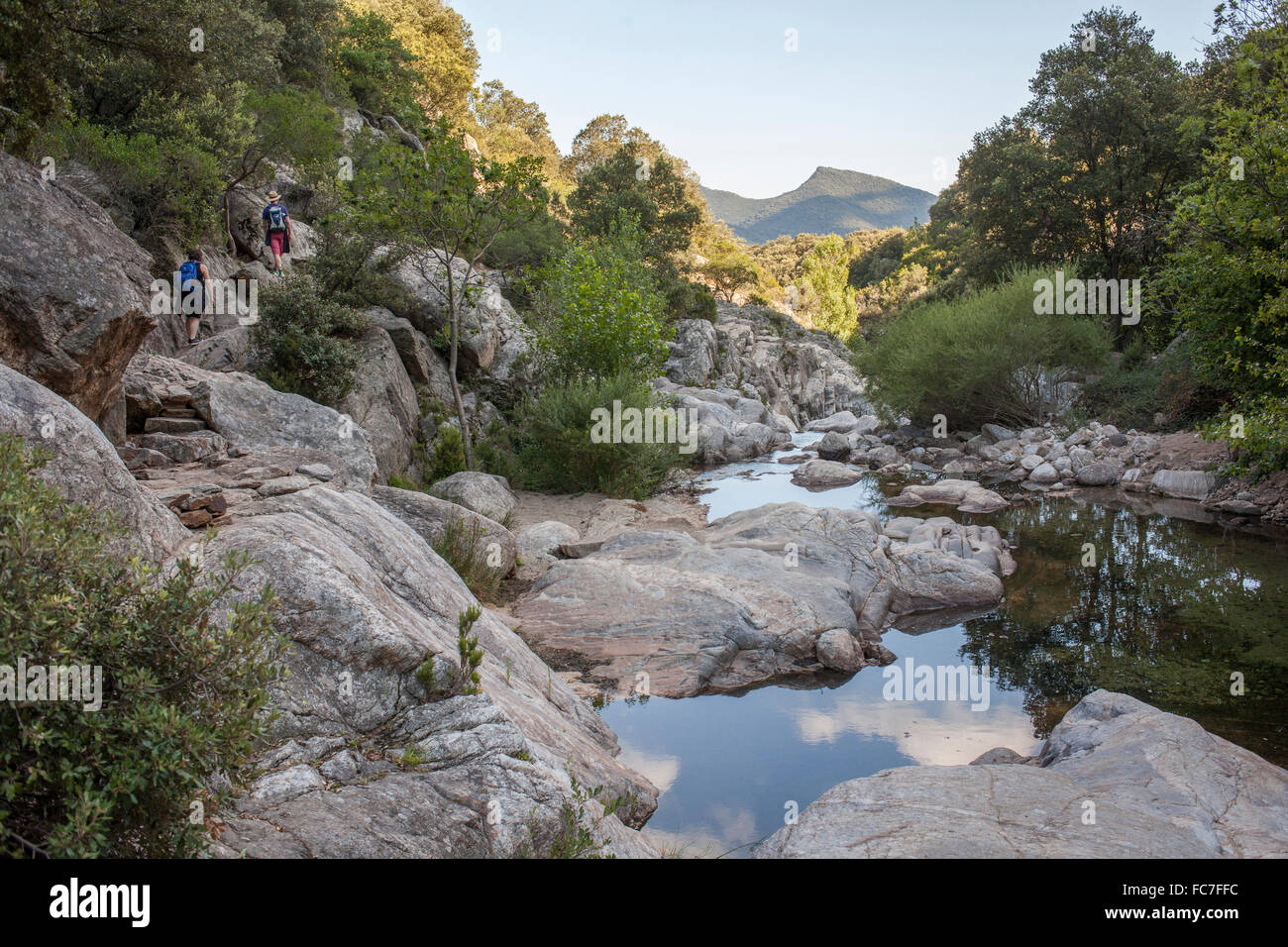 Still river over rocks in remote forest Stock Photo - Alamy