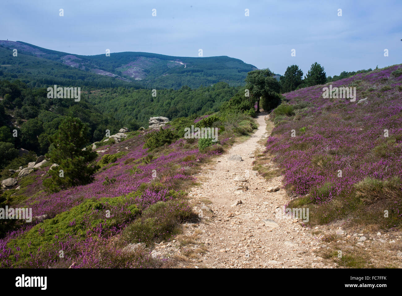 Dirt path top view hi-res stock photography and images - Alamy