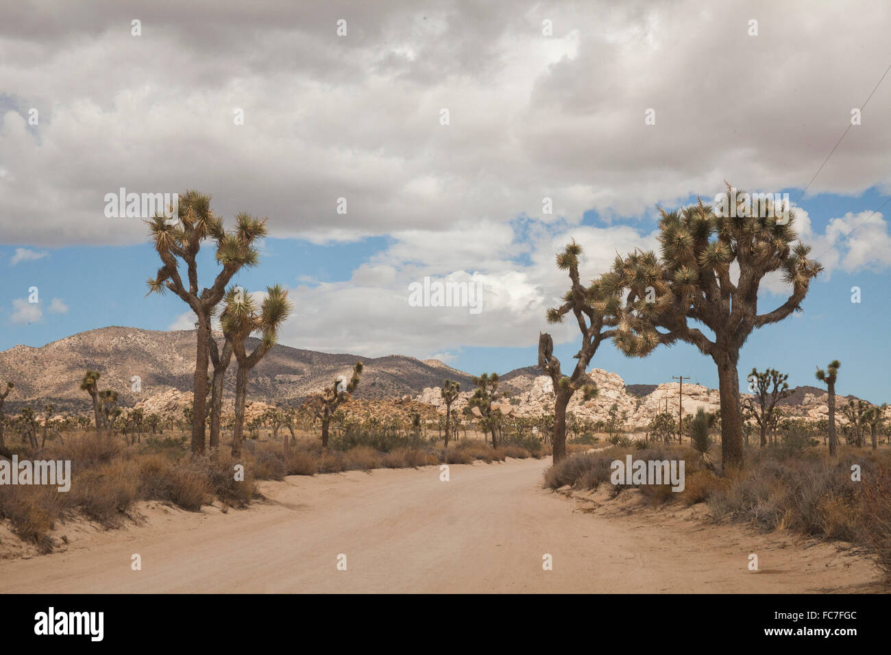 Empty road in rural desert landscape Stock Photo - Alamy