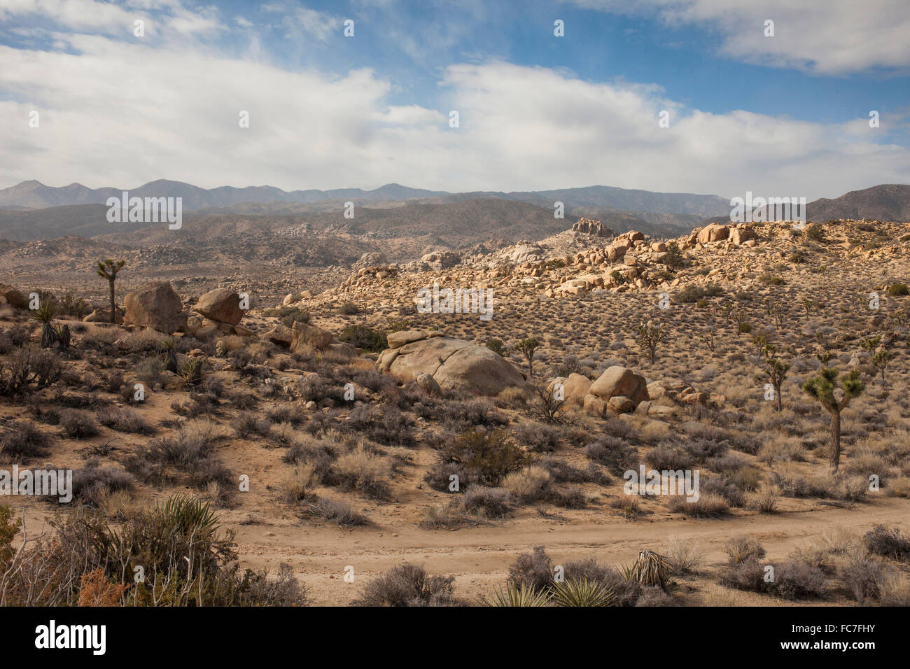 Dirt road in remote desert landscape Stock Photo - Alamy