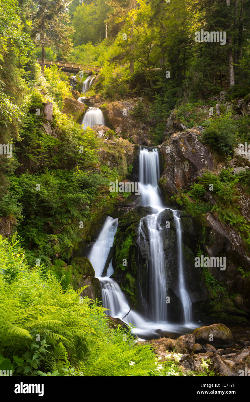 Triberger waterfalls hi-res stock photography and images - Alamy
