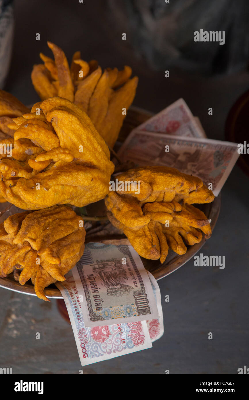 Close up of fruit and money in shrine Stock Photo - Alamy