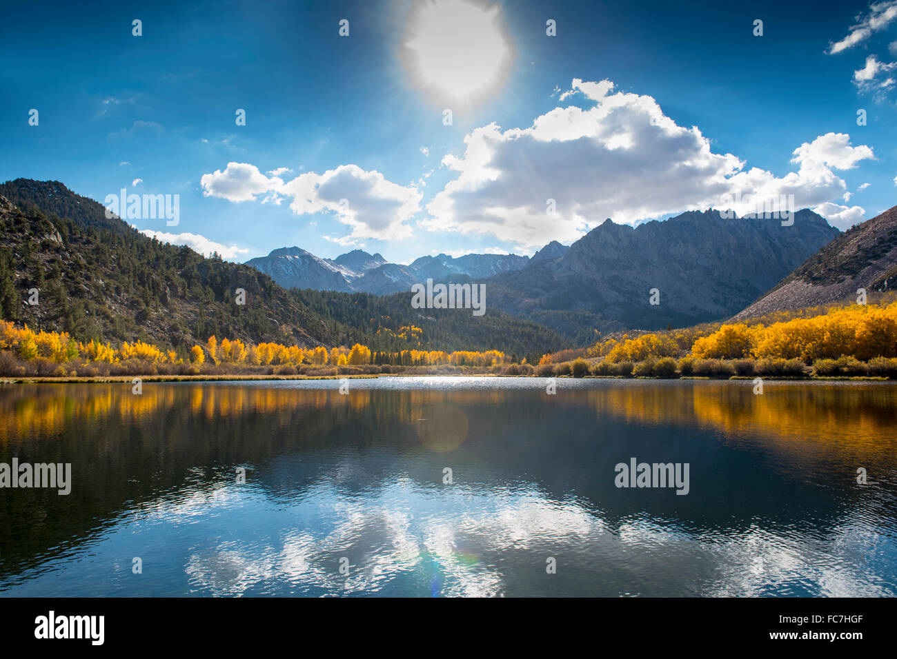 Woodland landscape calm remote lake hi-res stock photography and images ...