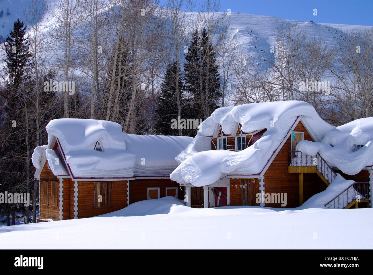 Xinjiang Aletai snow scenery Stock Photo - Alamy