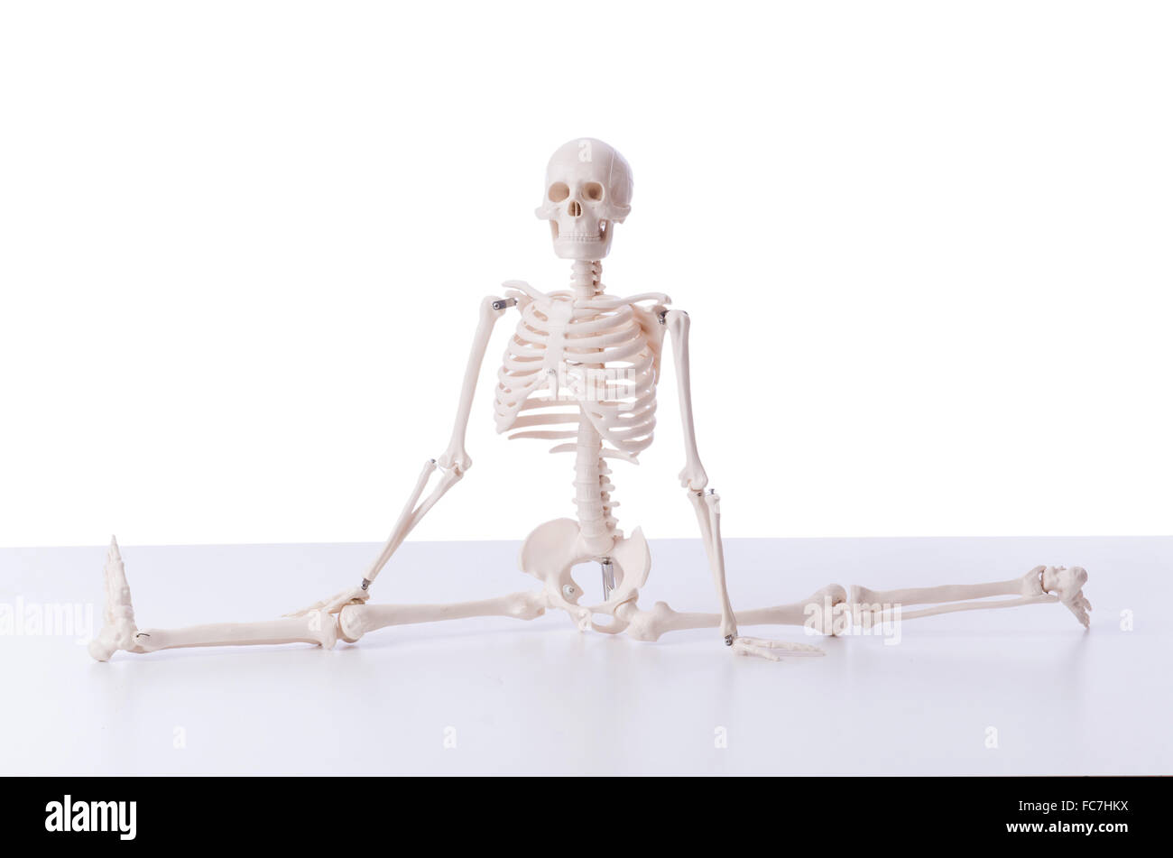 Funny skeleton isolated on white Stock Photo - Alamy