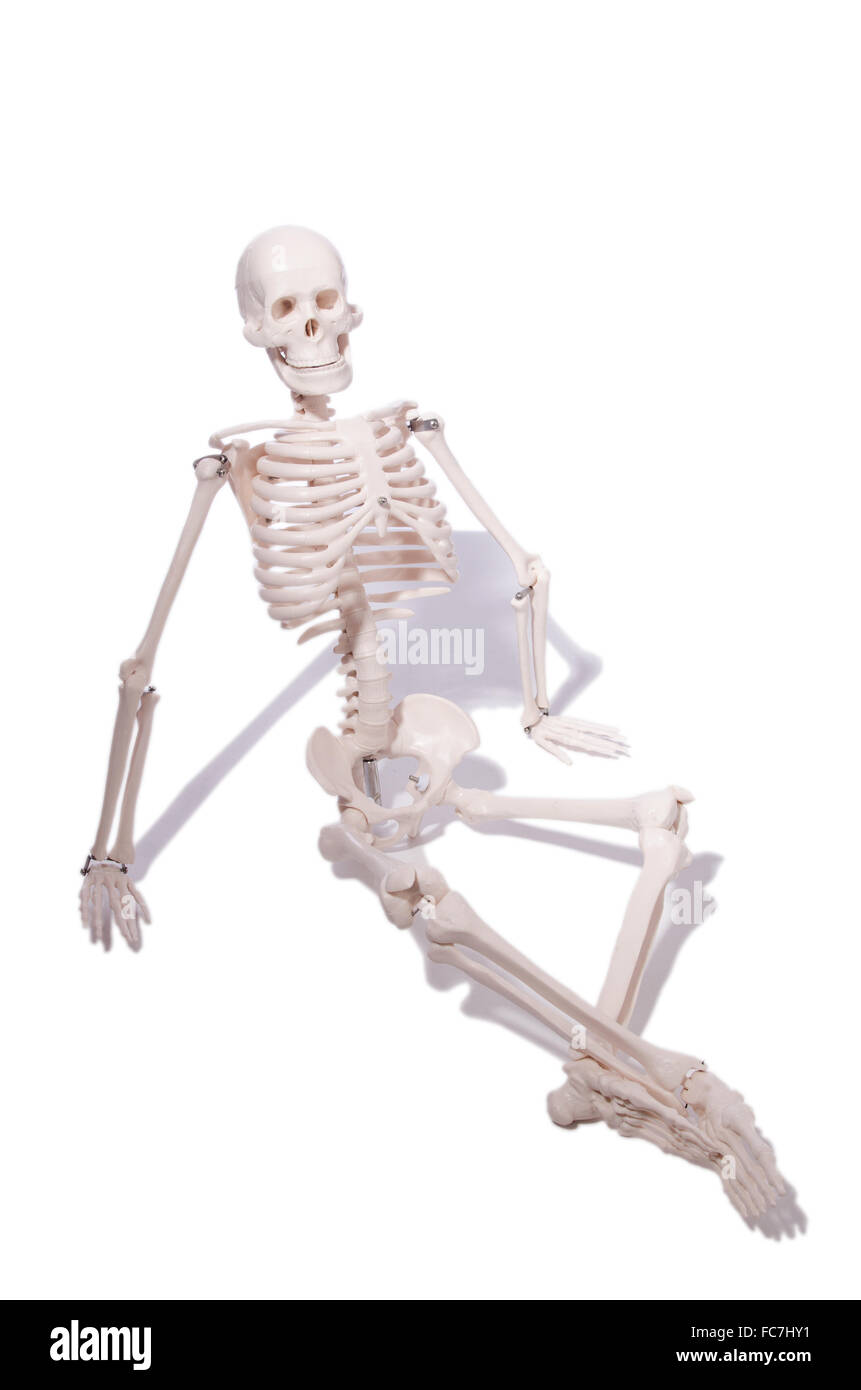 Skeleton in funny concept on white Stock Photo - Alamy