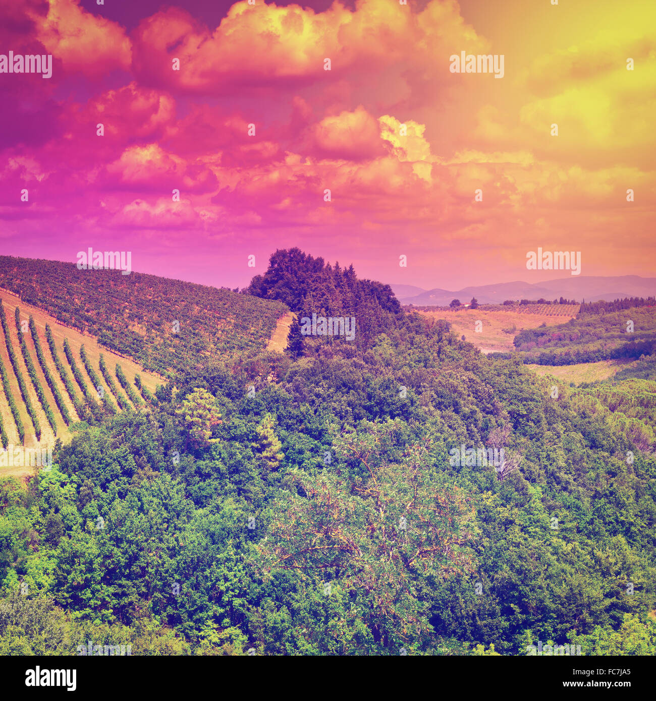 Sunset hill garden hi-res stock photography and images - Alamy