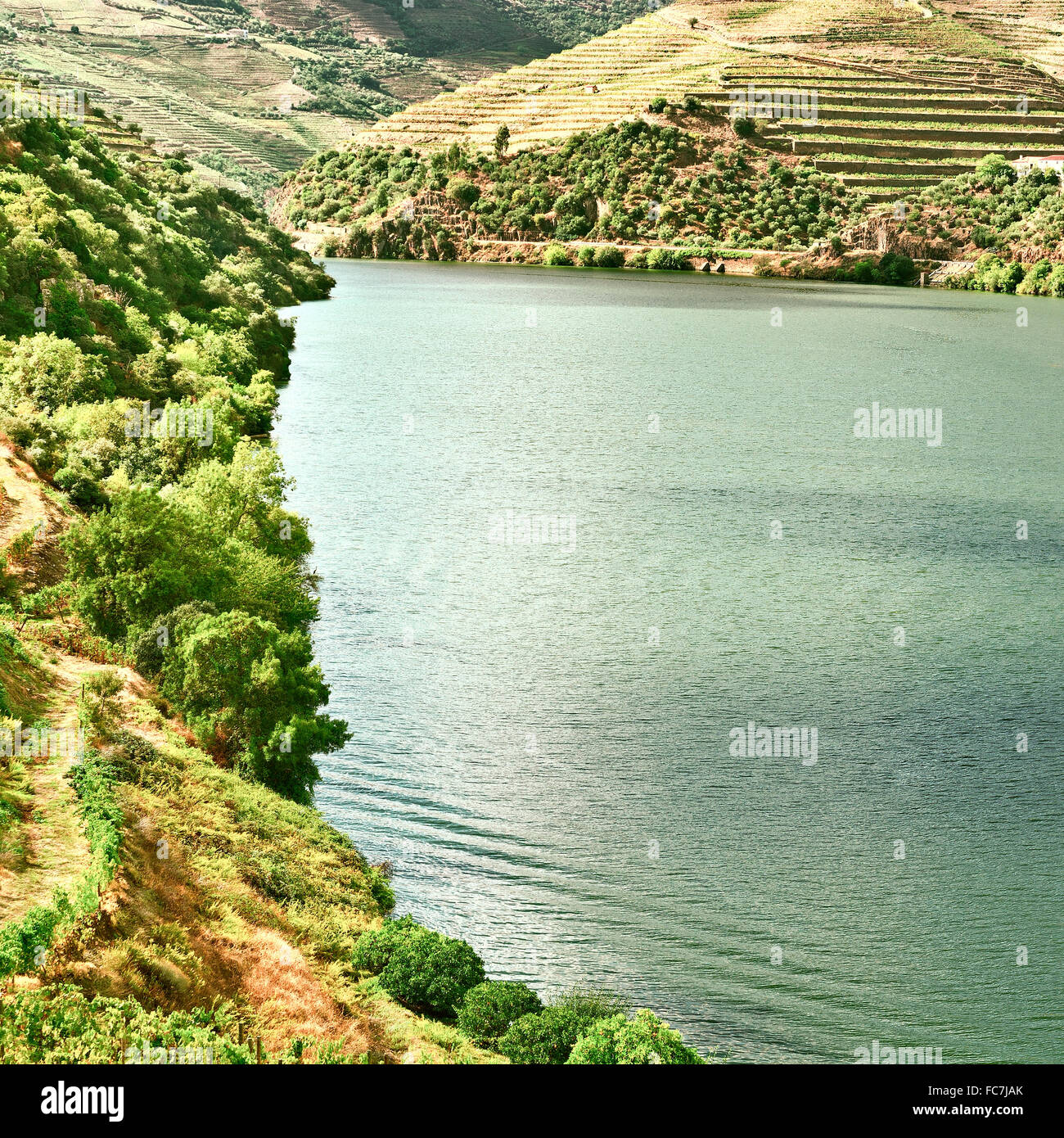 Valley Douro Stock Photo - Alamy