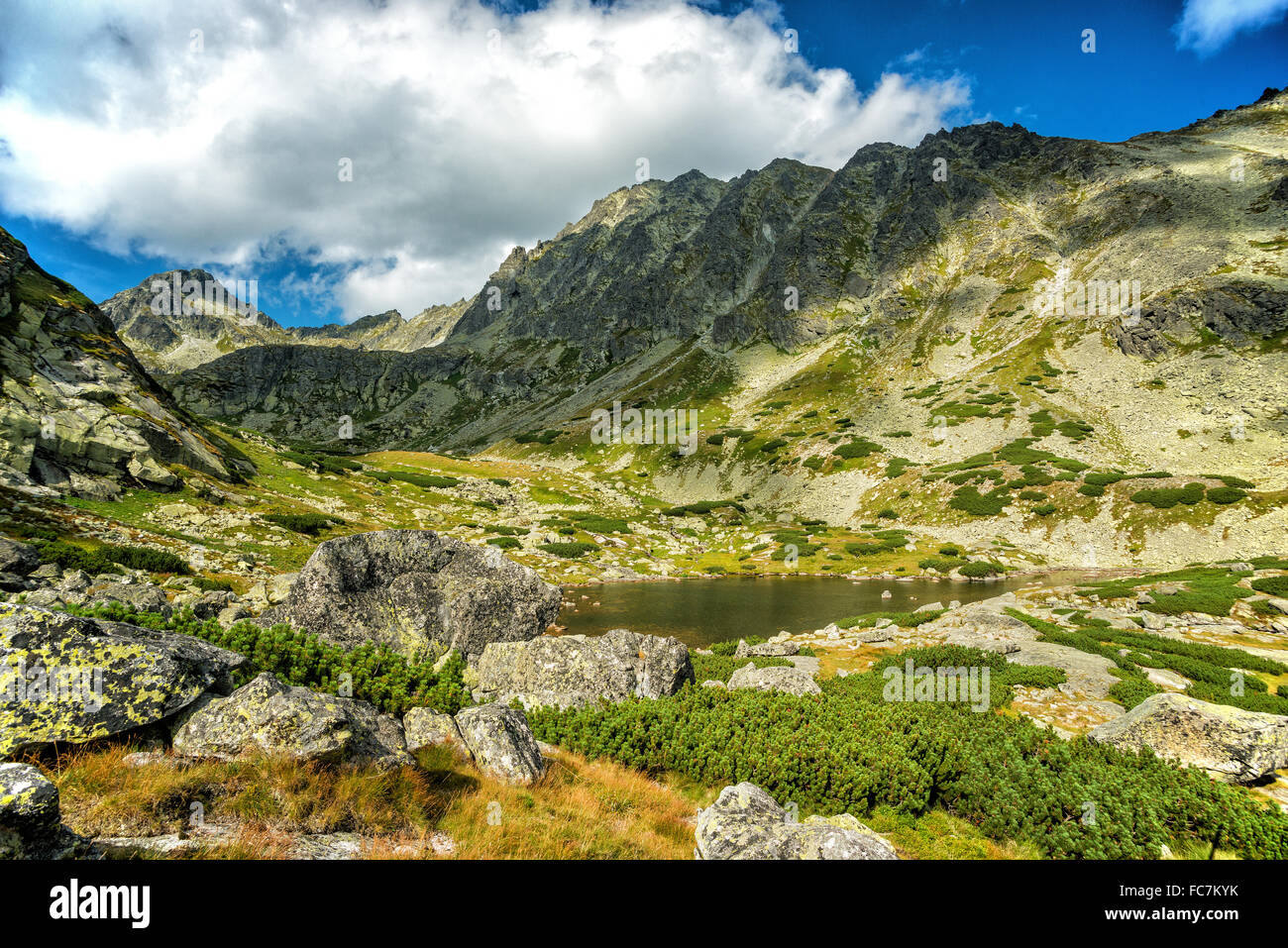Tatra berge hi-res stock photography and images - Alamy