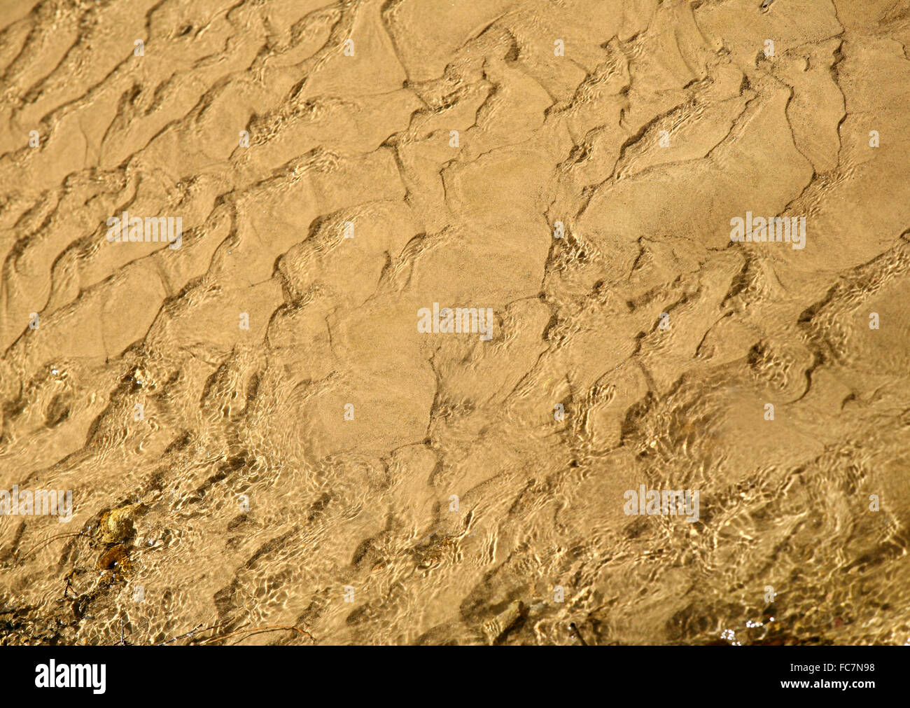 Transparent river hi-res stock photography and images - Alamy