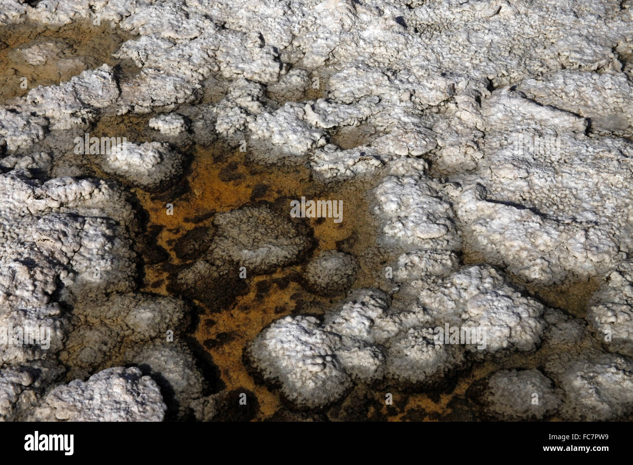 Death valley below sea level sign basin national park hi-res stock ...