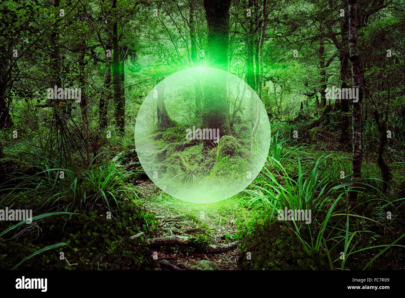 Glowing sphere floating in forest Stock Photo - Alamy