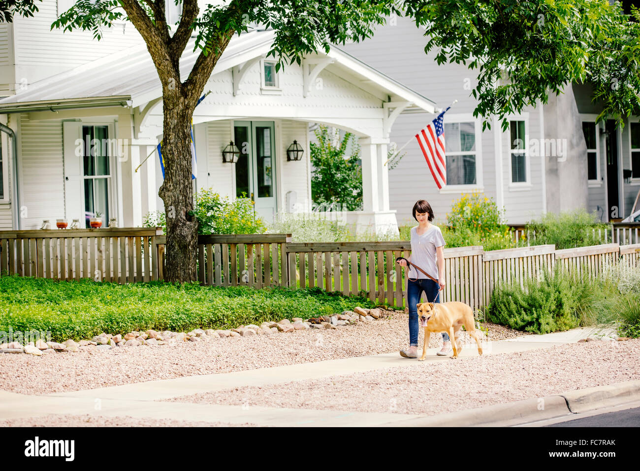 Caucasian woman walking dog in neighborhood Stock Photo - Alamy