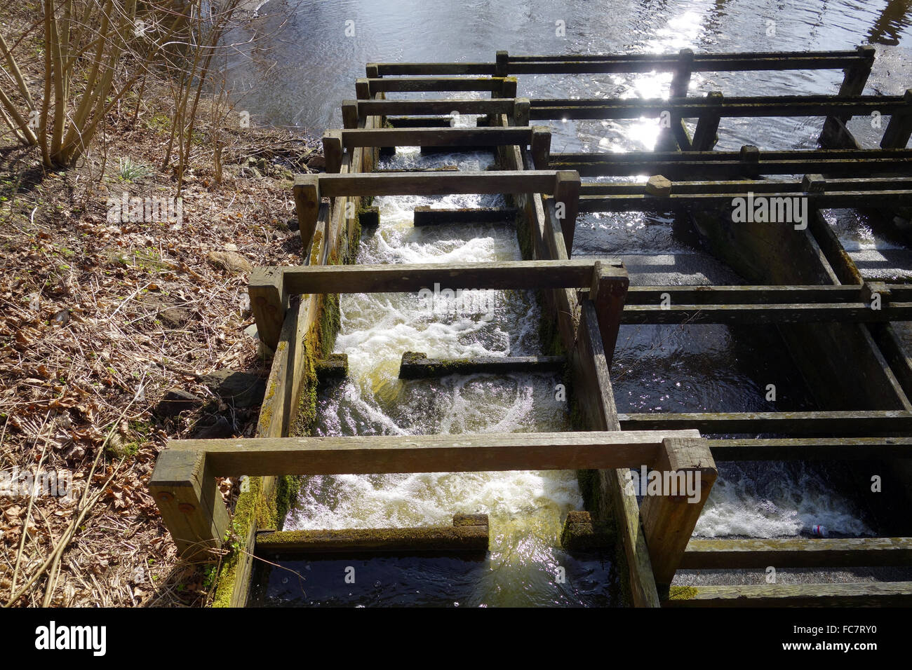 Fish passage hi-res stock photography and images - Alamy
