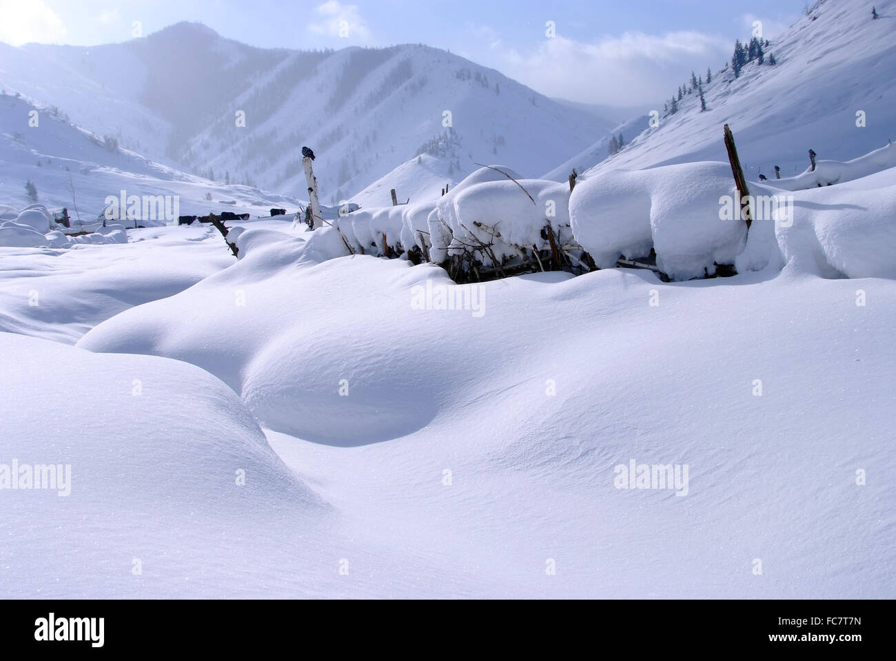 Xinjiang Aletai snow scenery Stock Photo - Alamy