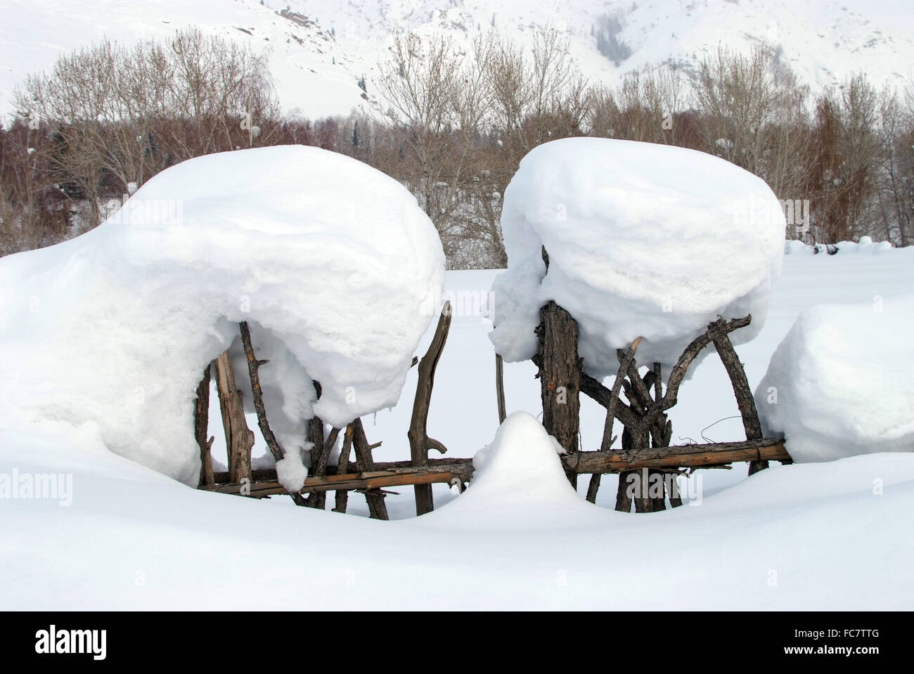 Xinjiang Aletai snow scenery Stock Photo - Alamy