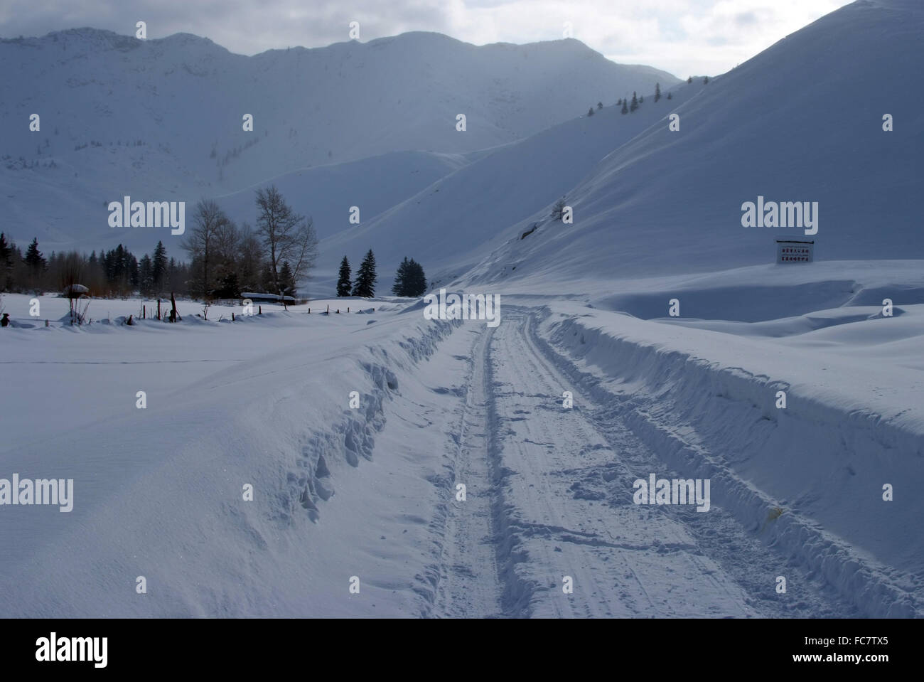 Xinjiang Aletai snow scenery Stock Photo - Alamy