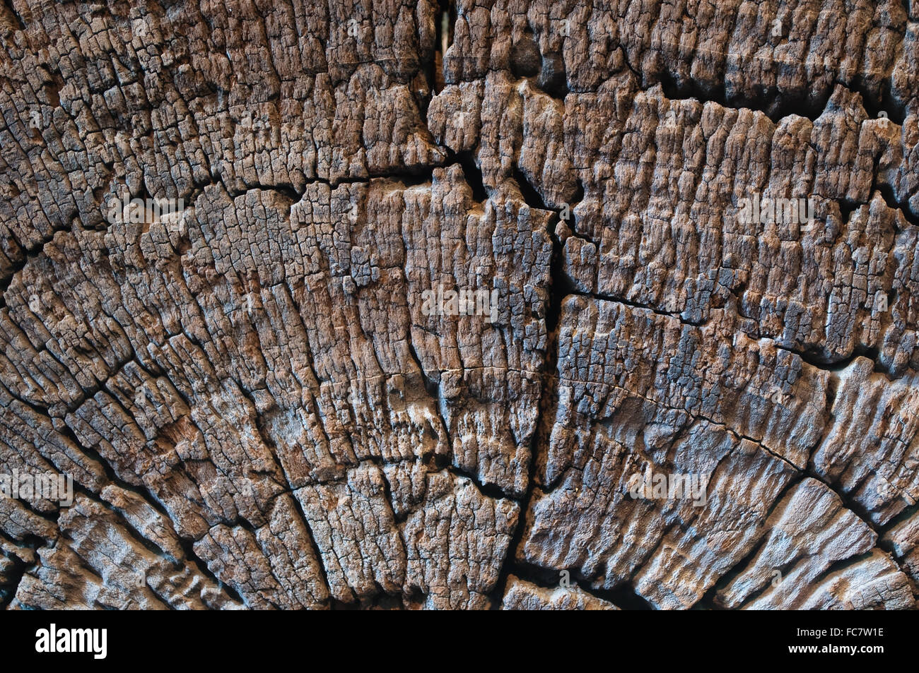 Old lumber cut texture background Stock Photo - Alamy