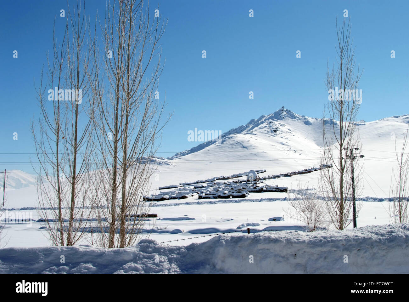 Xinjiang Aletai snow scenery Stock Photo - Alamy