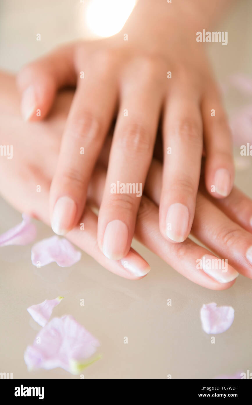 Adult hispanic female resting hi-res stock photography and images - Alamy