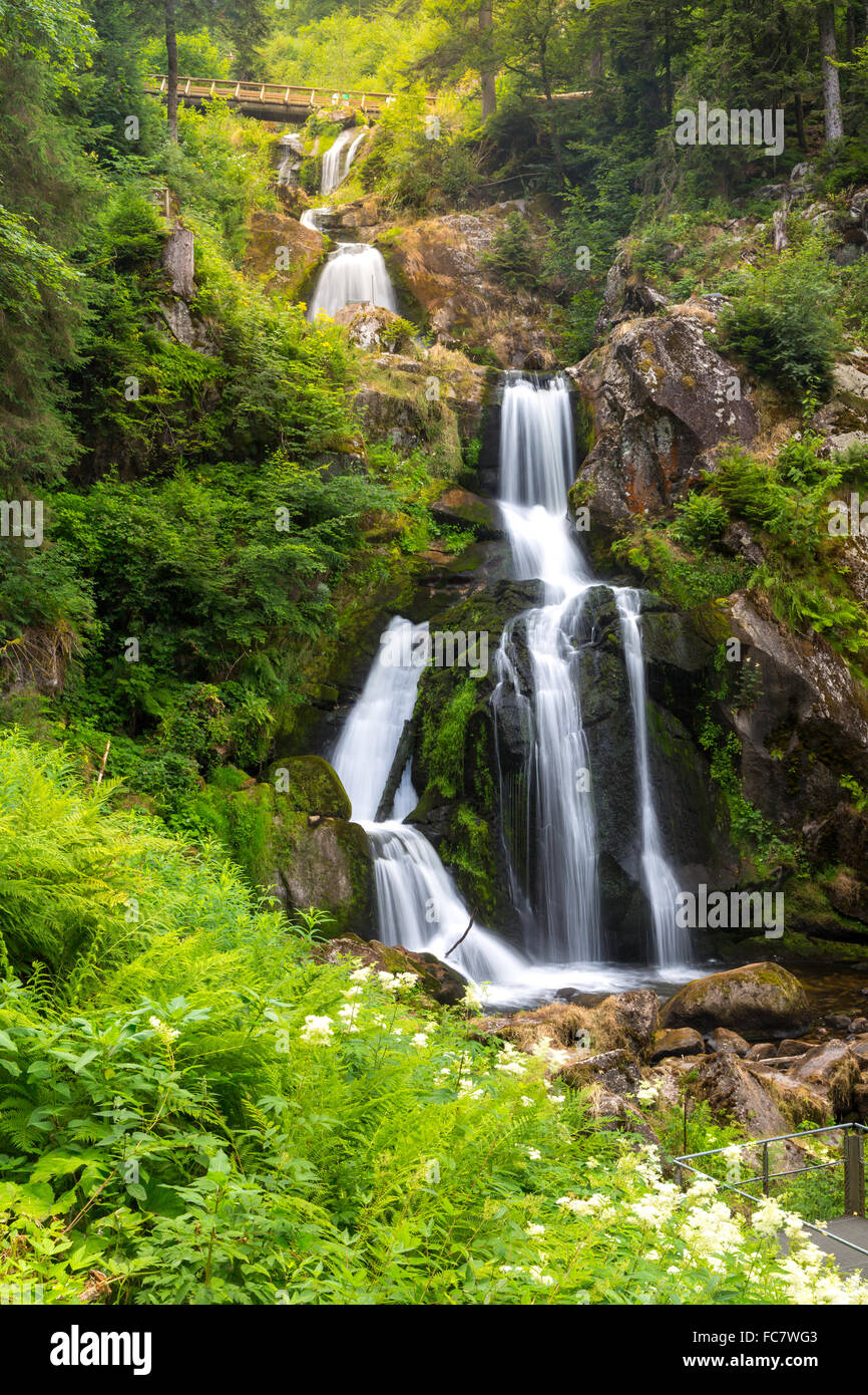 Triberger waterfalls hi-res stock photography and images - Alamy