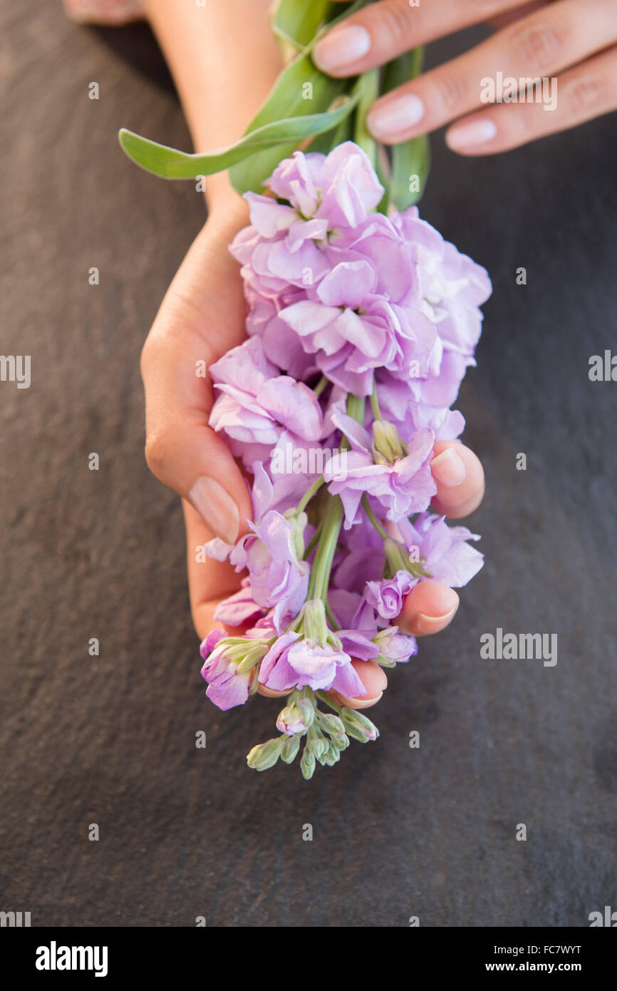 Hispanic Woman Holding Flowers Stock Photo Alamy hispanic-woman-holding-flowers-stock-photo-alamy