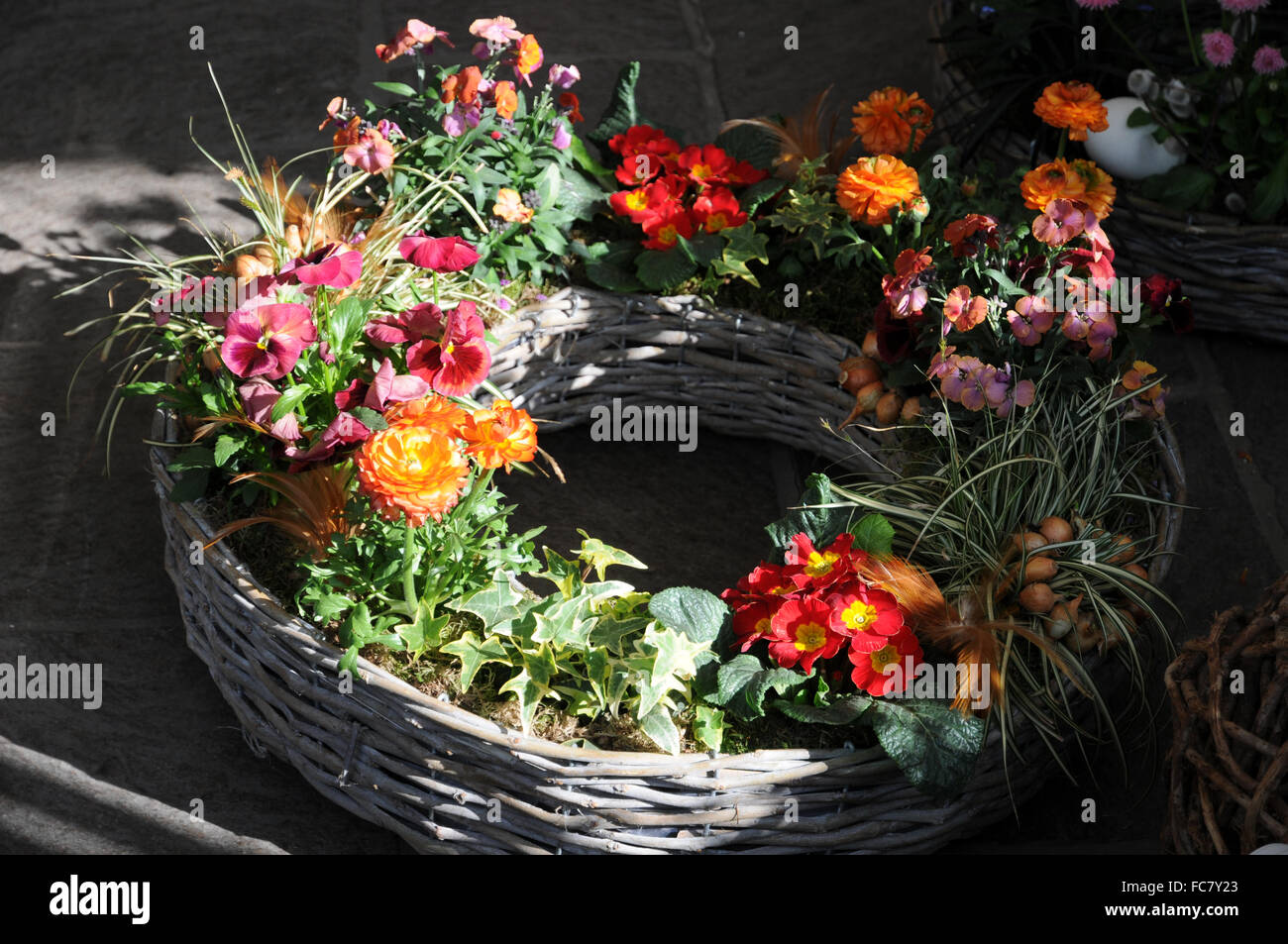 Primula, Ranunculus, Viola, wreath Stock Photo - Alamy
