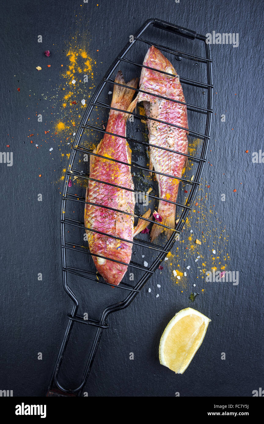 Mullet fry hi-res stock photography and images - Alamy