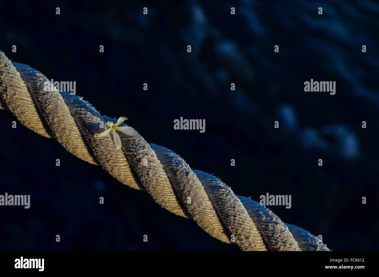 Old Vintage Naval Rope Stock Photo - Alamy