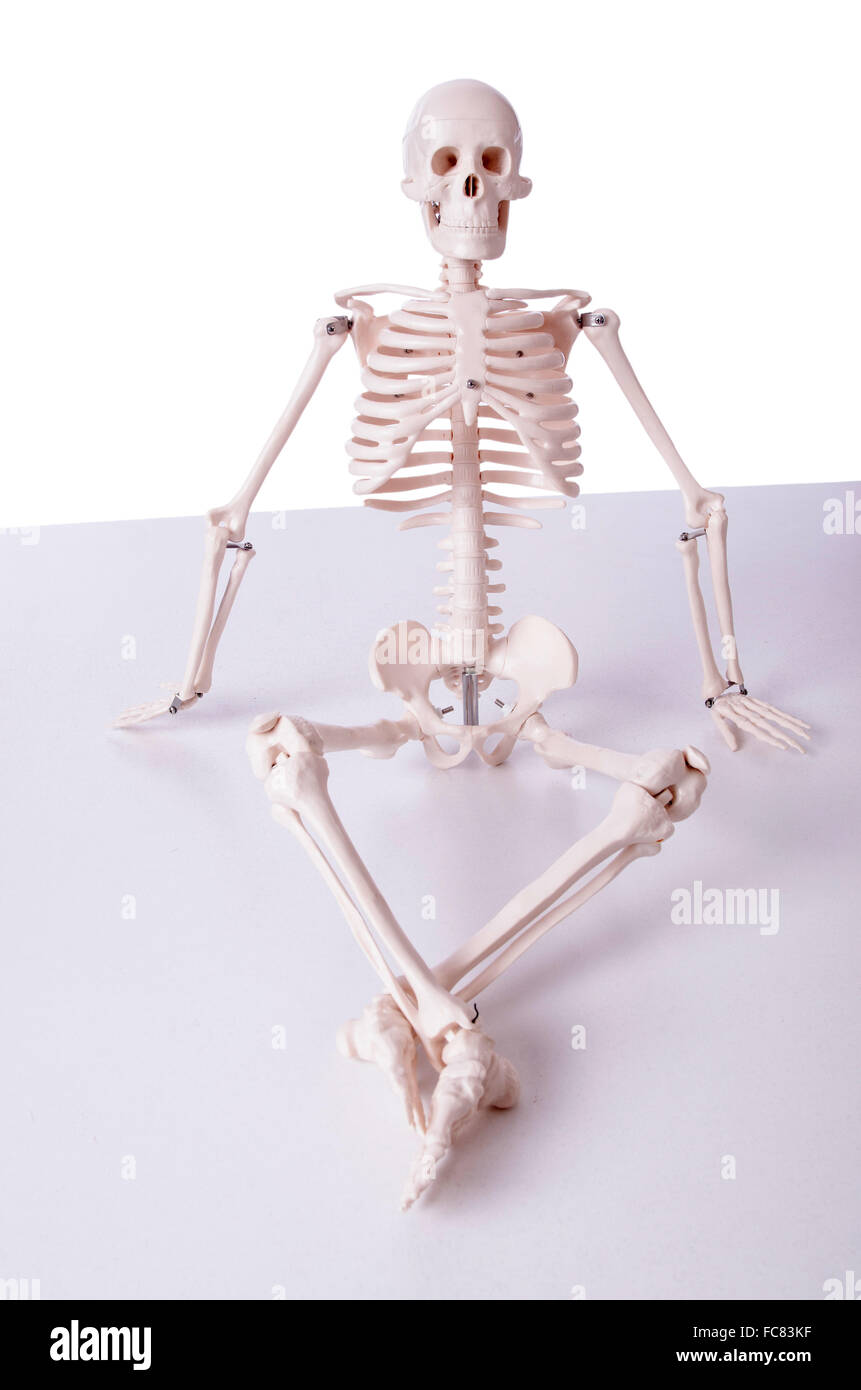 Skeleton in funny concept on white Stock Photo - Alamy
