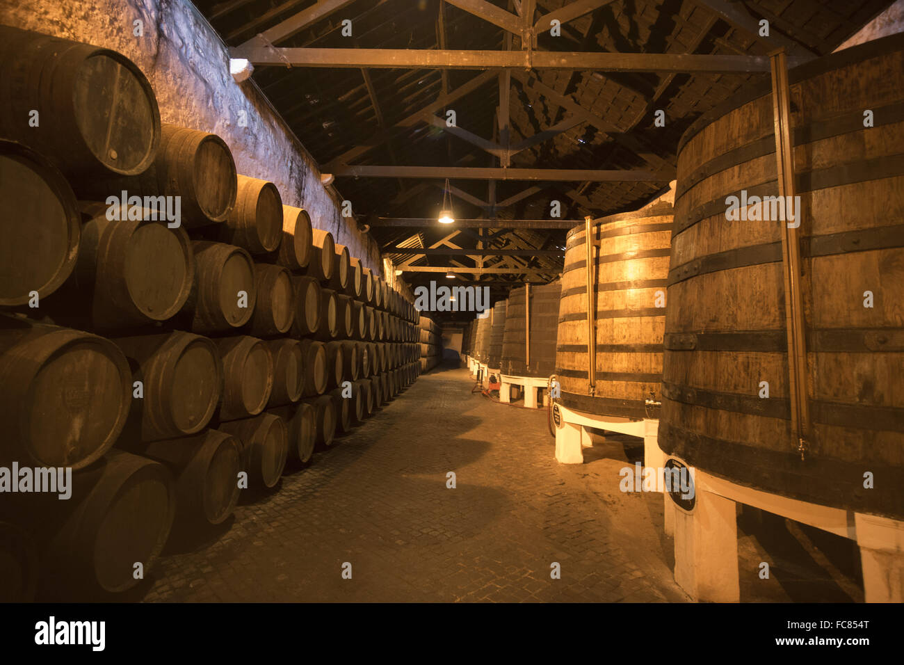 EUROPE PORTUGAL PORTO PORT WINE CELLAR Stock Photo - Alamy