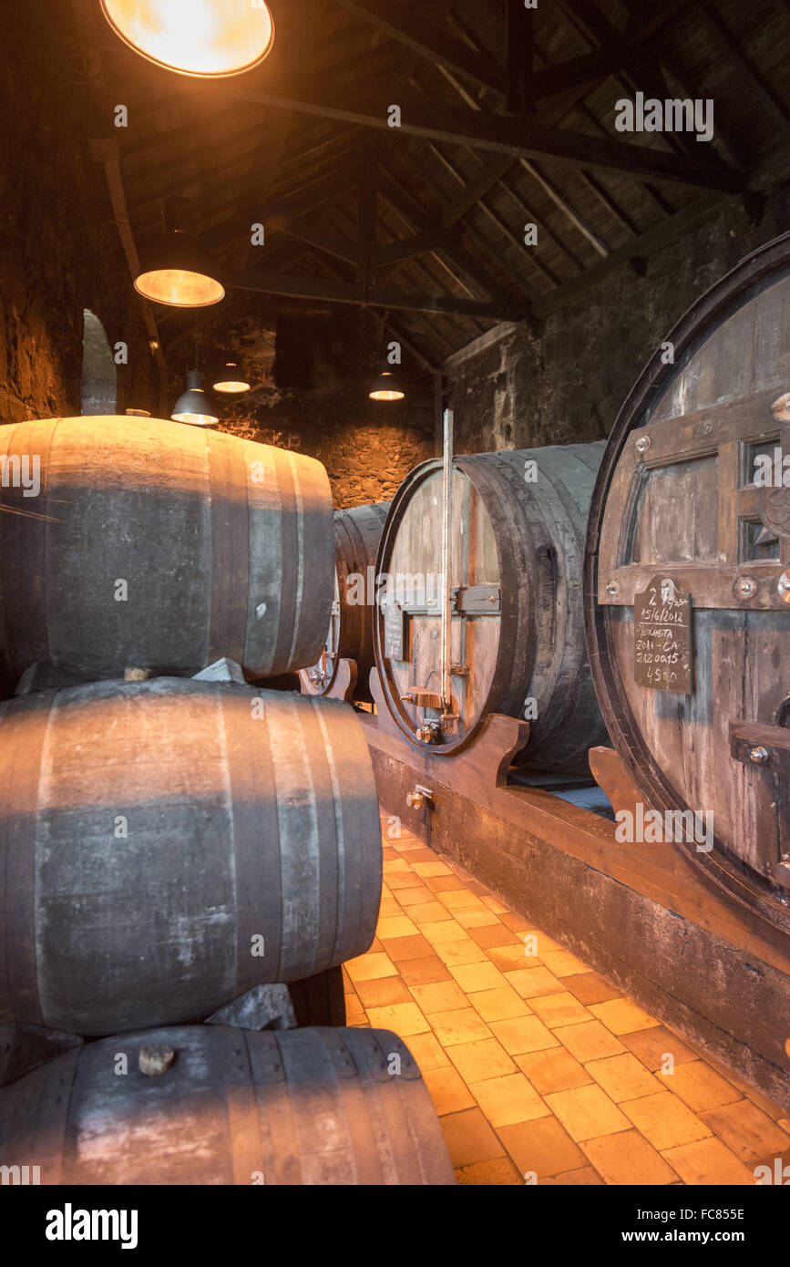 EUROPE PORTUGAL PORTO PORT WINE CELLAR Stock Photo - Alamy