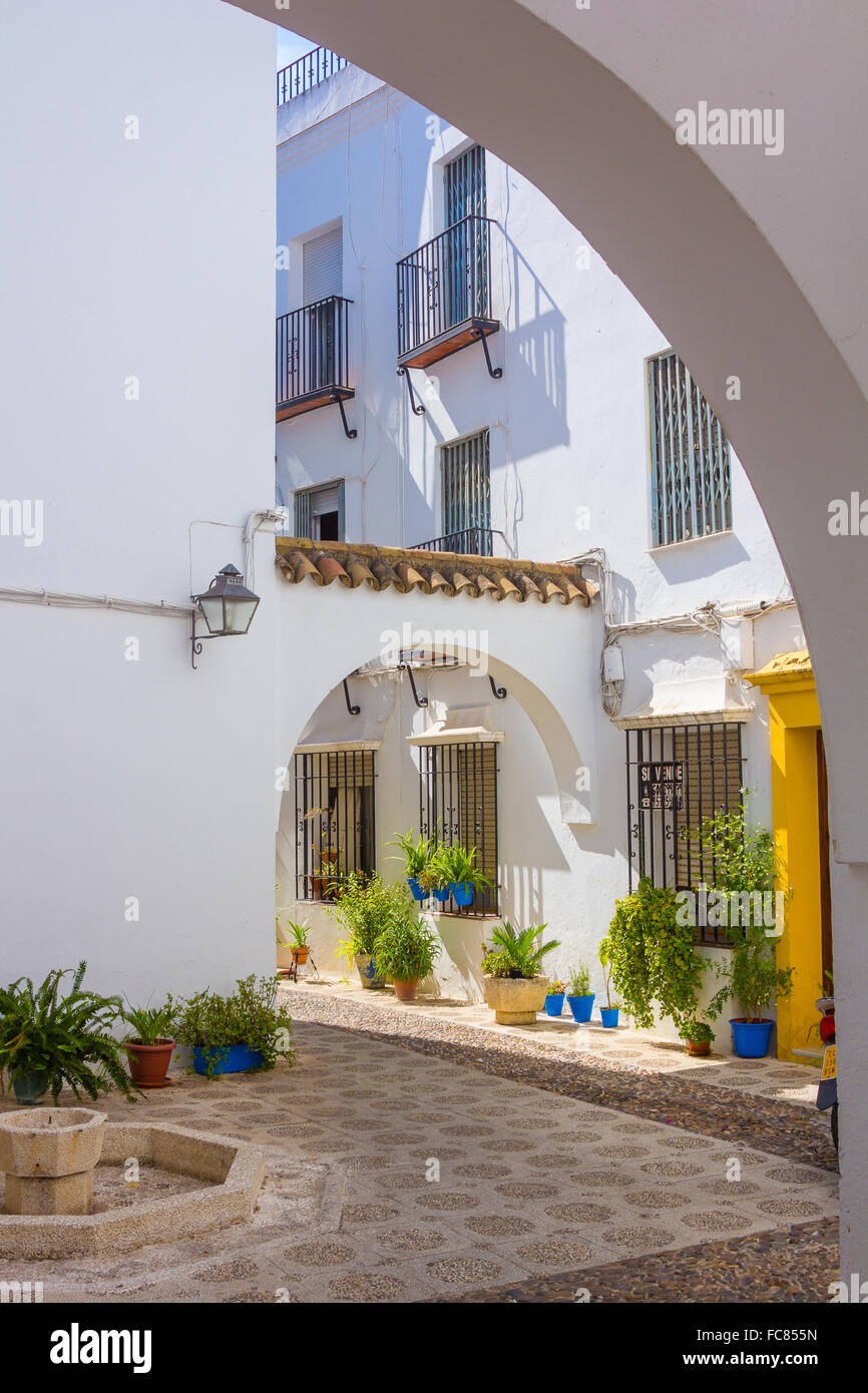 typical Andalusian courtyard decorated with flowers in the city of ...