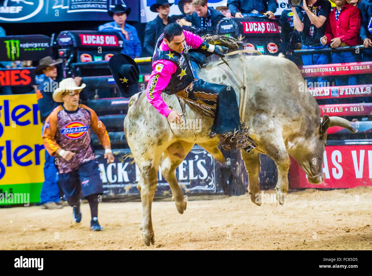 Cowboy Participating in the PBR bull riding world finals. The bull ...