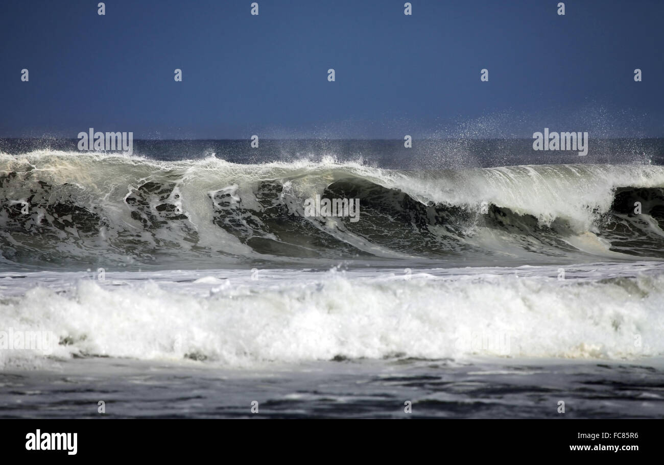Indian teal hi-res stock photography and images - Alamy
