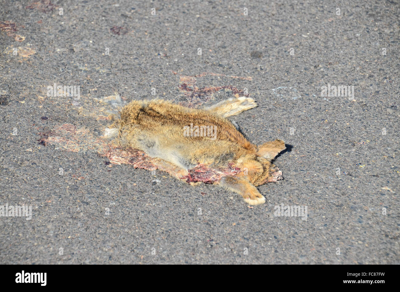 Death dead body the end street hi-res stock photography and images - Alamy