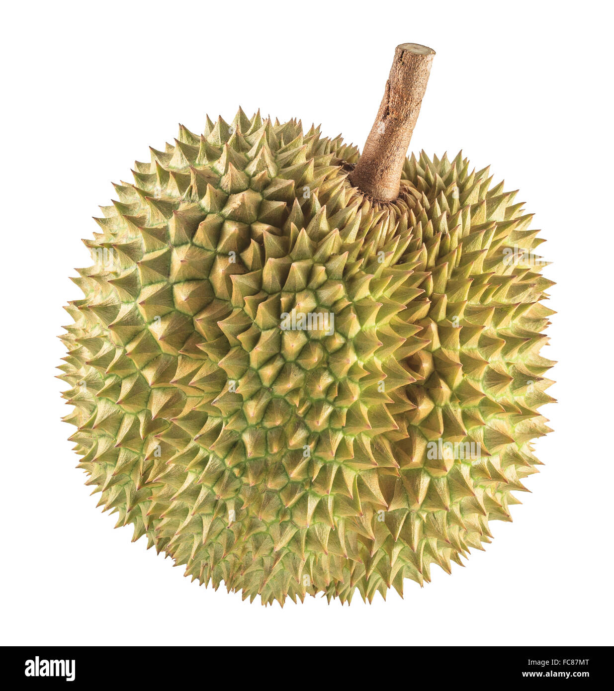 Durian fruit hi-res stock photography and images - Alamy