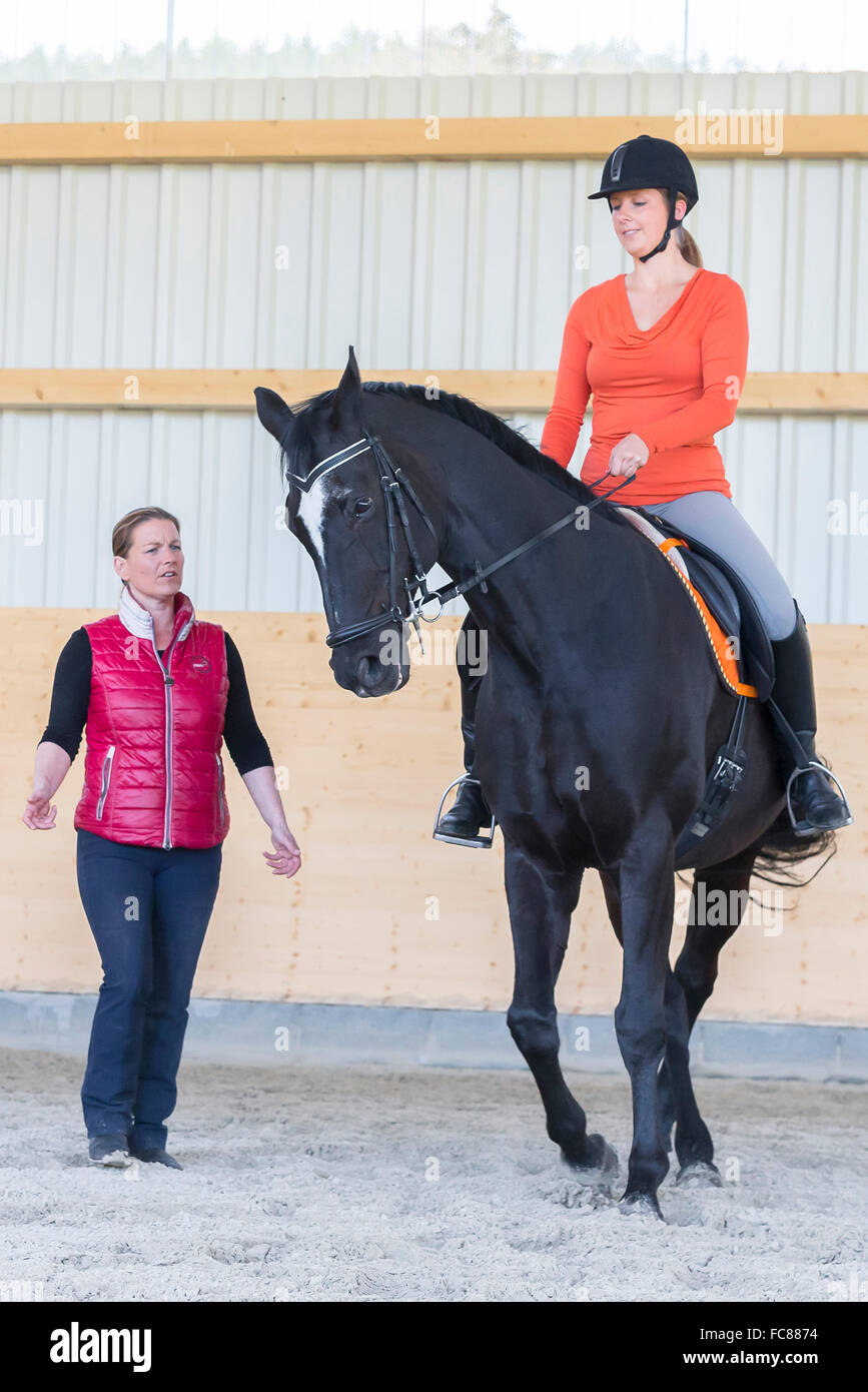 Riding lesson riding hall hi-res stock photography and images - Alamy