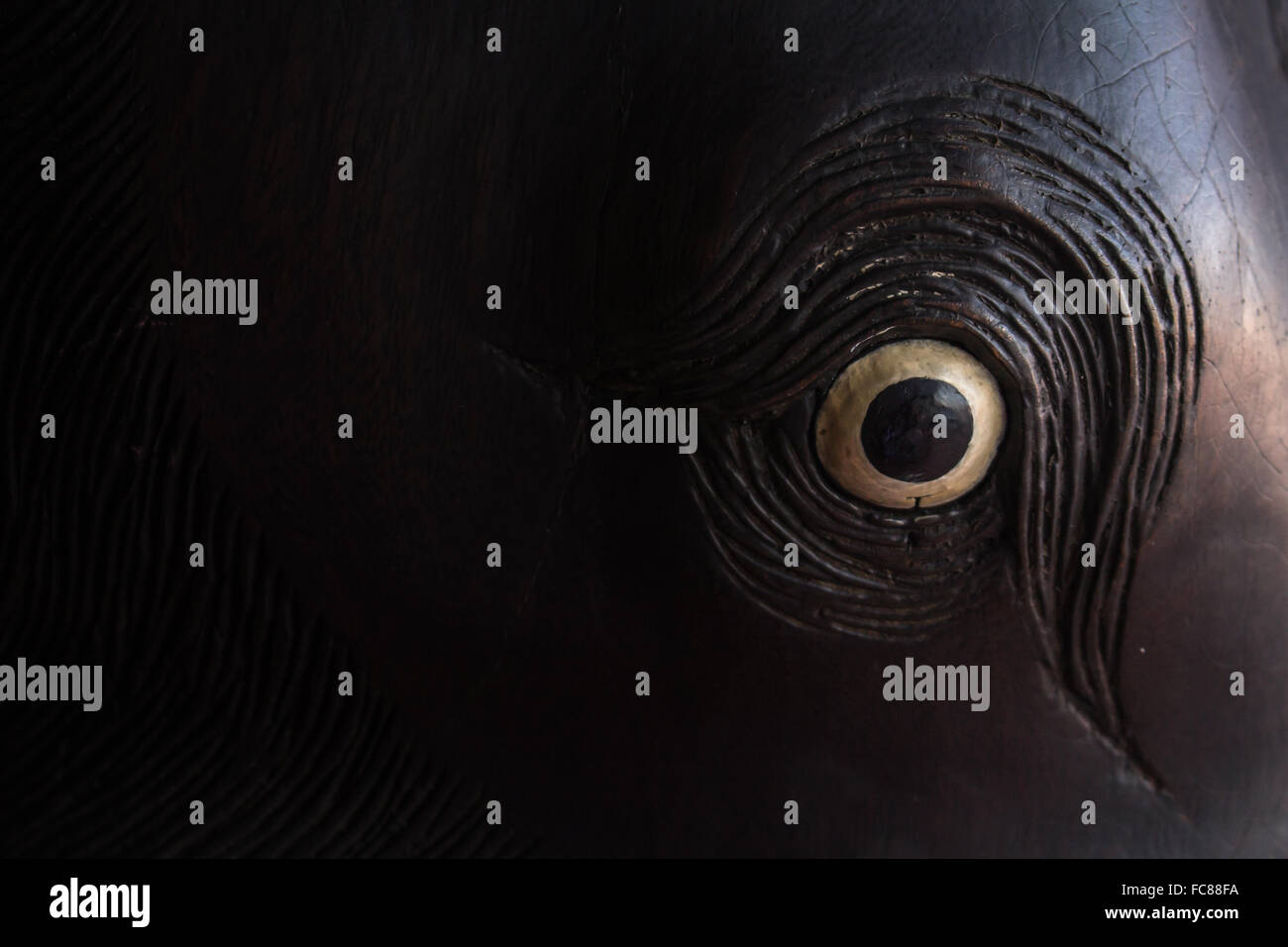 Close up wood eye with black shadow Stock Photo - Alamy