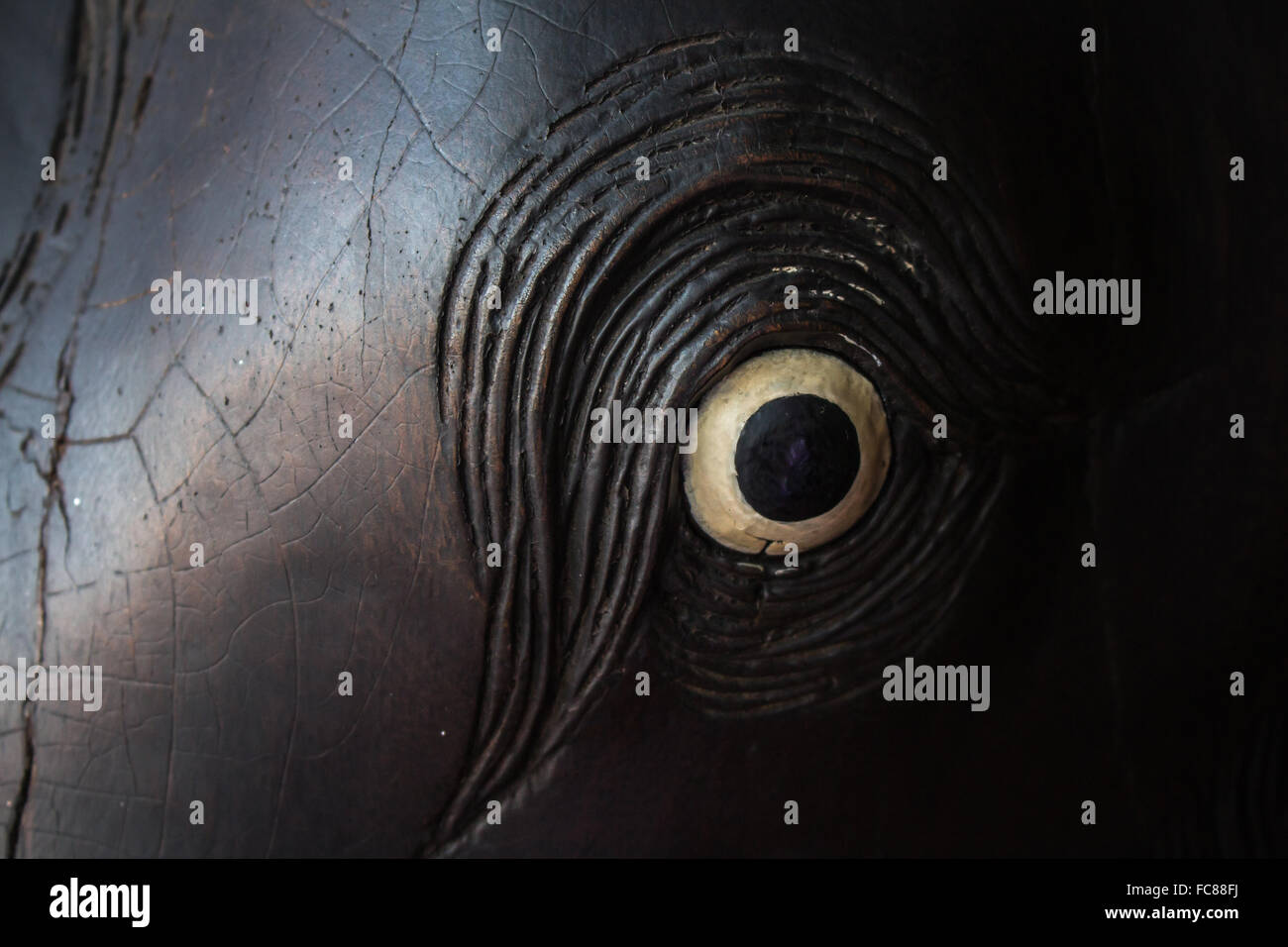 Close up wood eye with black shadow Stock Photo - Alamy