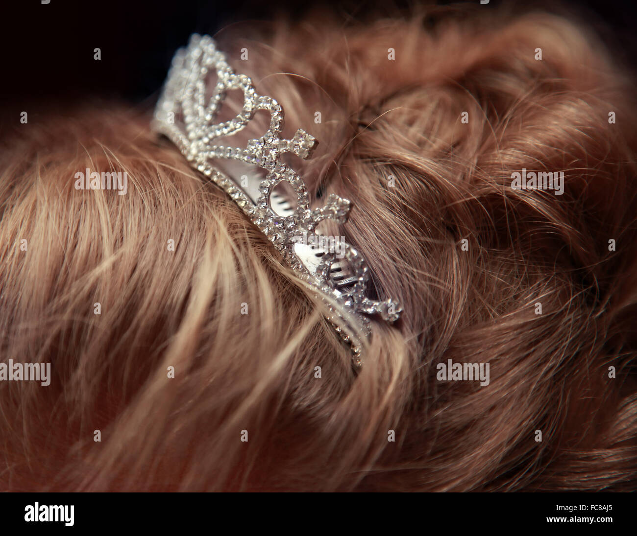 Fake crown hi-res stock photography and images - Alamy