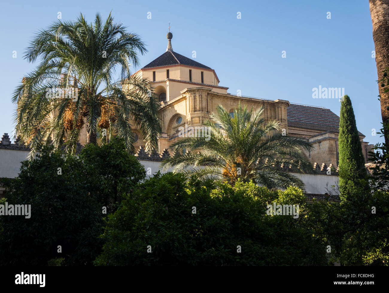 Mosque and cathedral hi-res stock photography and images - Alamy