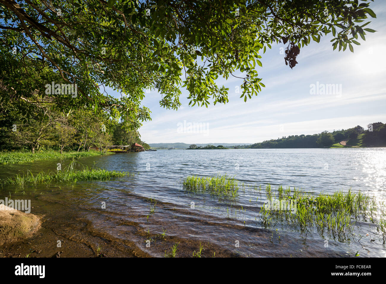 Nile at the source of the Nile in Jinja, Uganda, East Africa, Africa ...